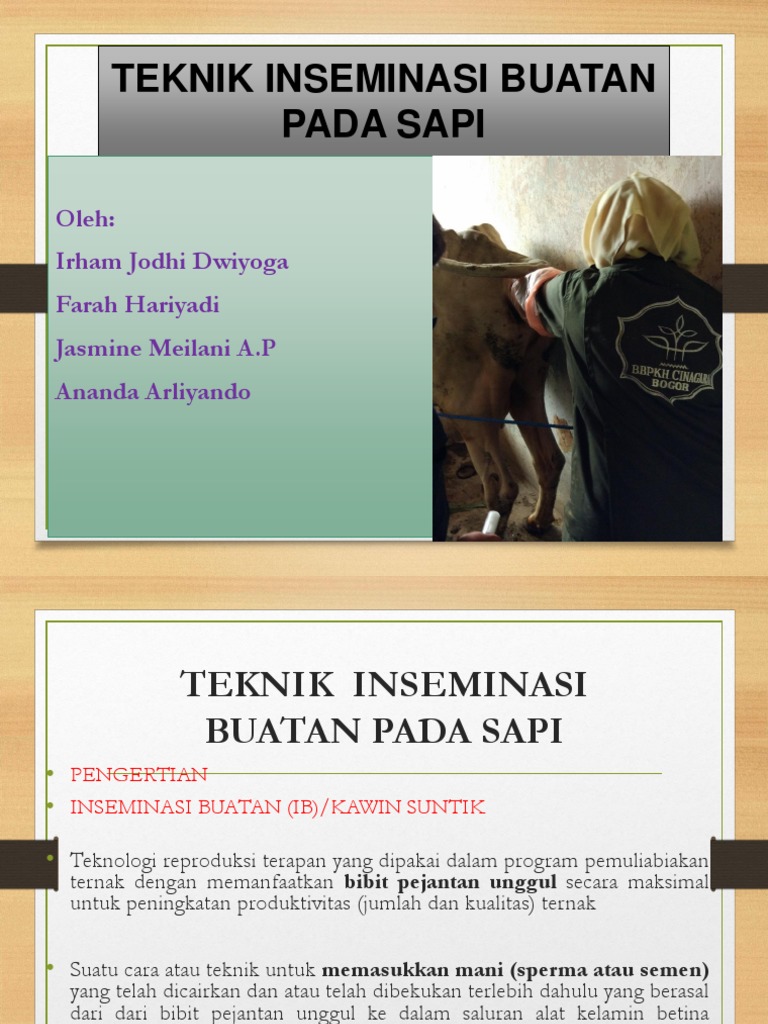 Teknik Inseminasi Buatan Sapi | PDF | Memasak, Makanan, & Anggur