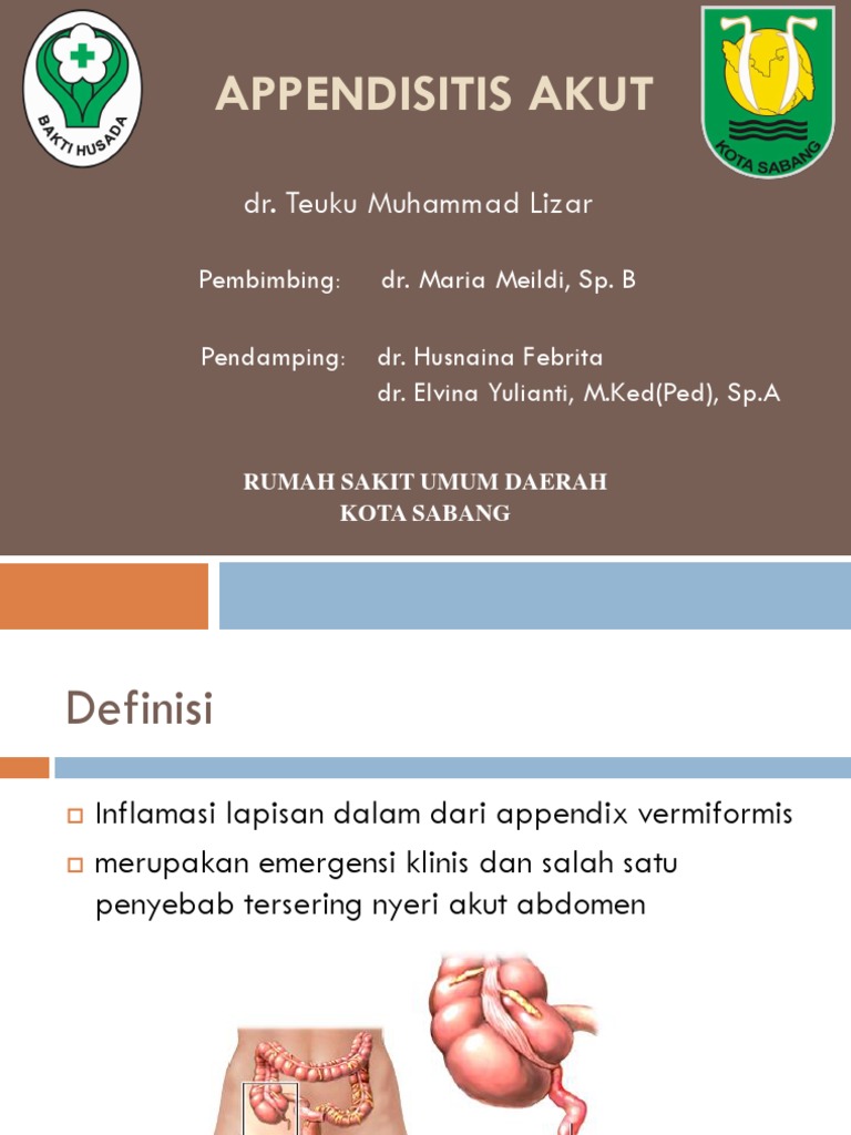 Appendisitis Akut (Presentasi Laporan Kasus Internship) - Dr. Teuku Muhammad Lizar | PDF
