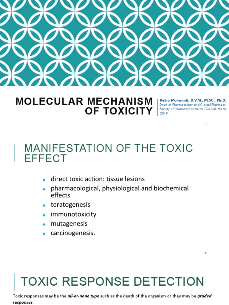 Molecular Mechanism of Toxicity S2 | PDF | Kidney | Liver