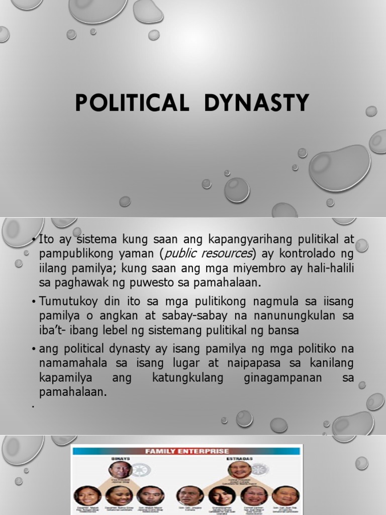 Political Dynasty | PDF