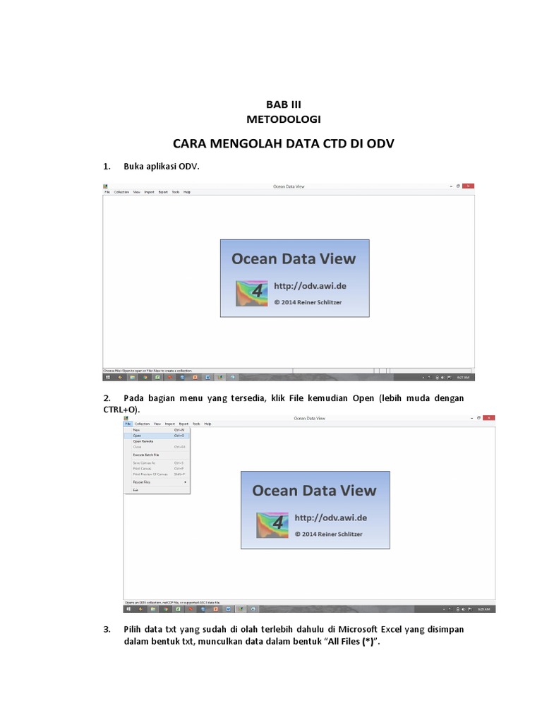 Panduan Pengolahan Data CTD di ODV | PDF | Komputer