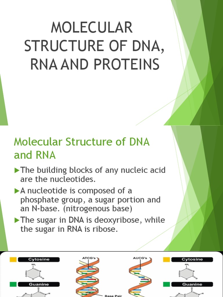 Study Dna Dna | PDF | Dna | Rna