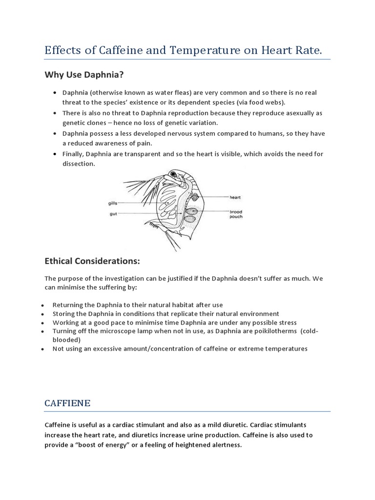 Temperature Effect On Heart Rate of Daphnia | PDF | Reaction Rate ...