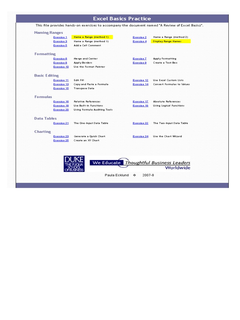 Excel Basics Practice Exercises Guide | PDF | Microsoft Excel | Software