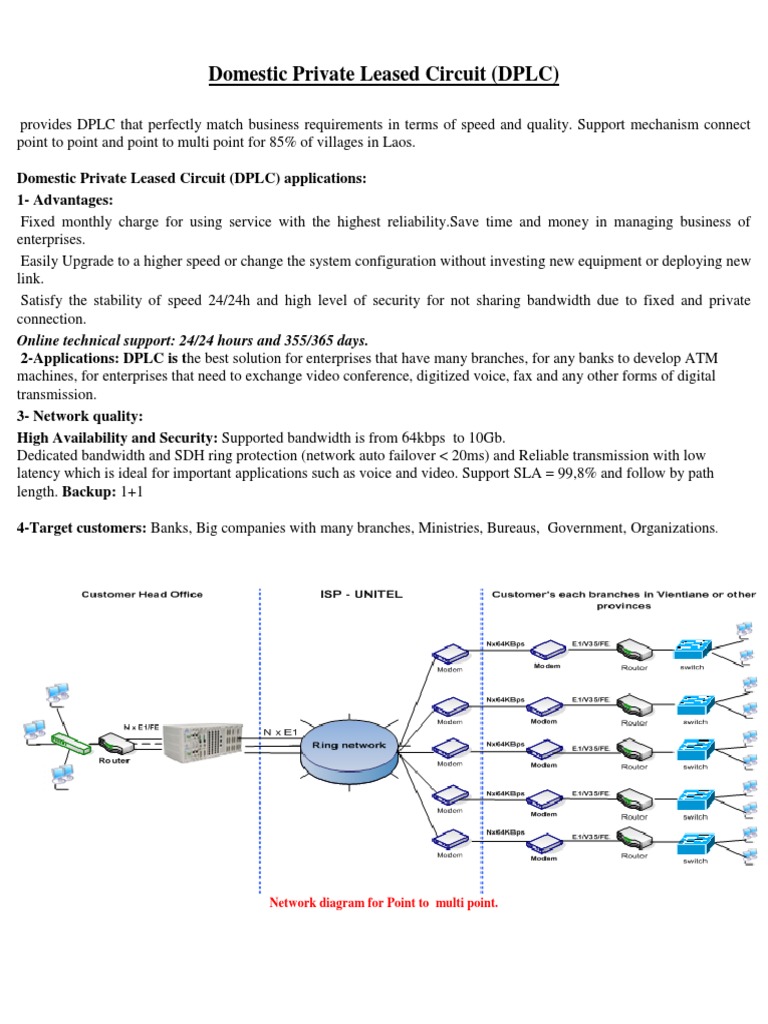 Domestic Private Leased Circuit | PDF