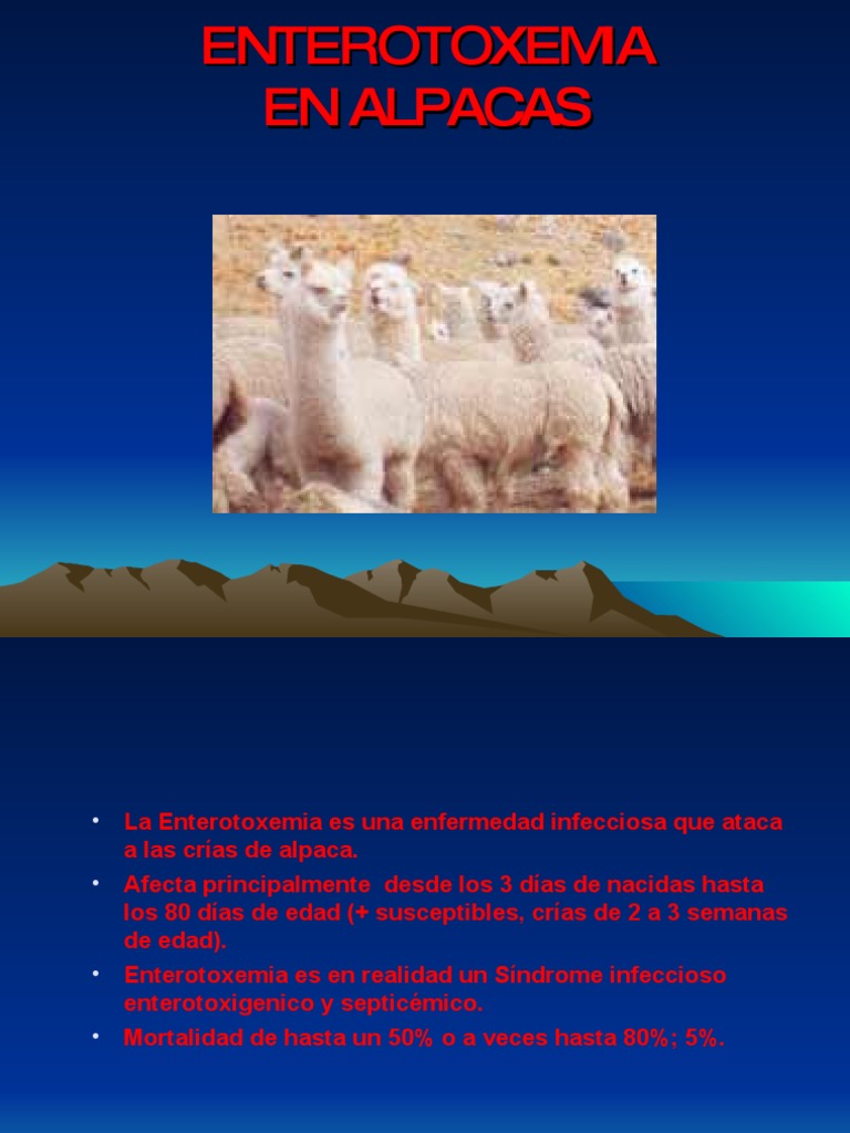 Enterotoxemia 091102173714 Phpapp01 | PDF | Diarrea | Escherichia coli