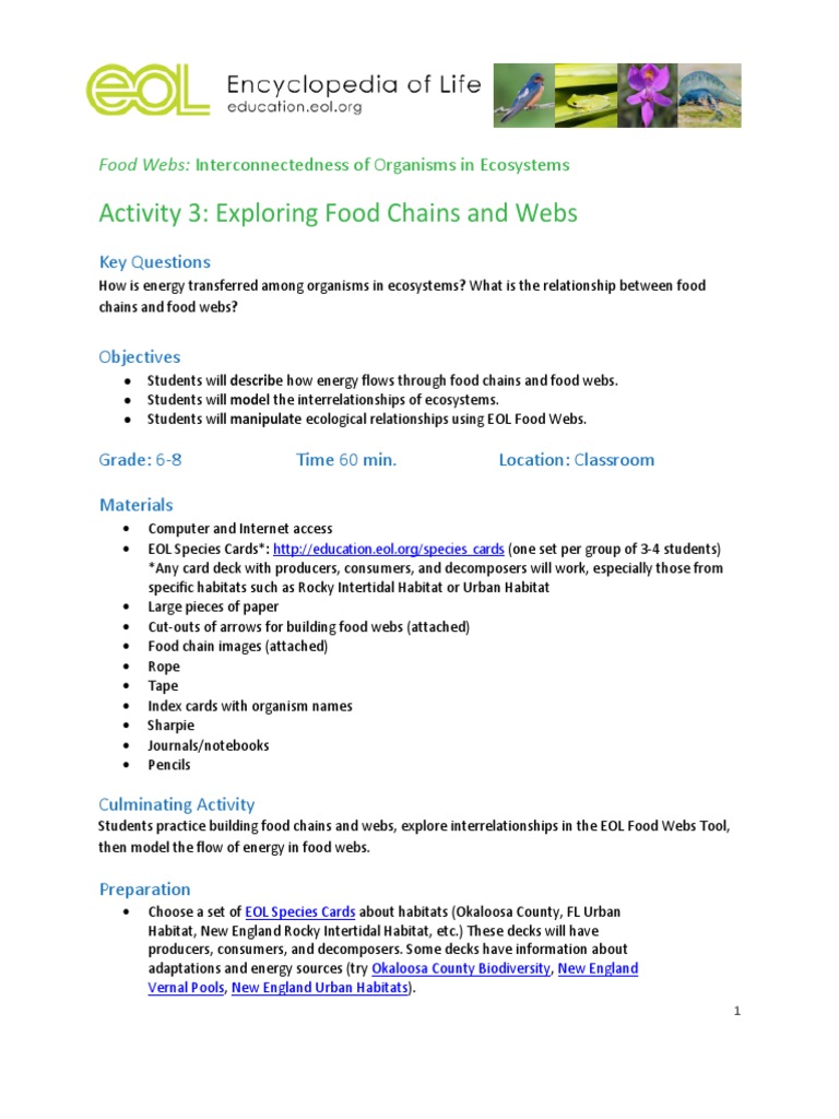Ecology And Food Web Pdf Food Web Ecosystem