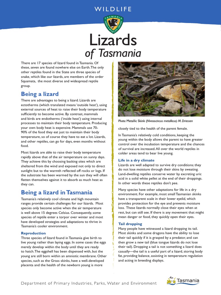Lizards: of Tasmania | PDF | Lizard | Thermoregulation