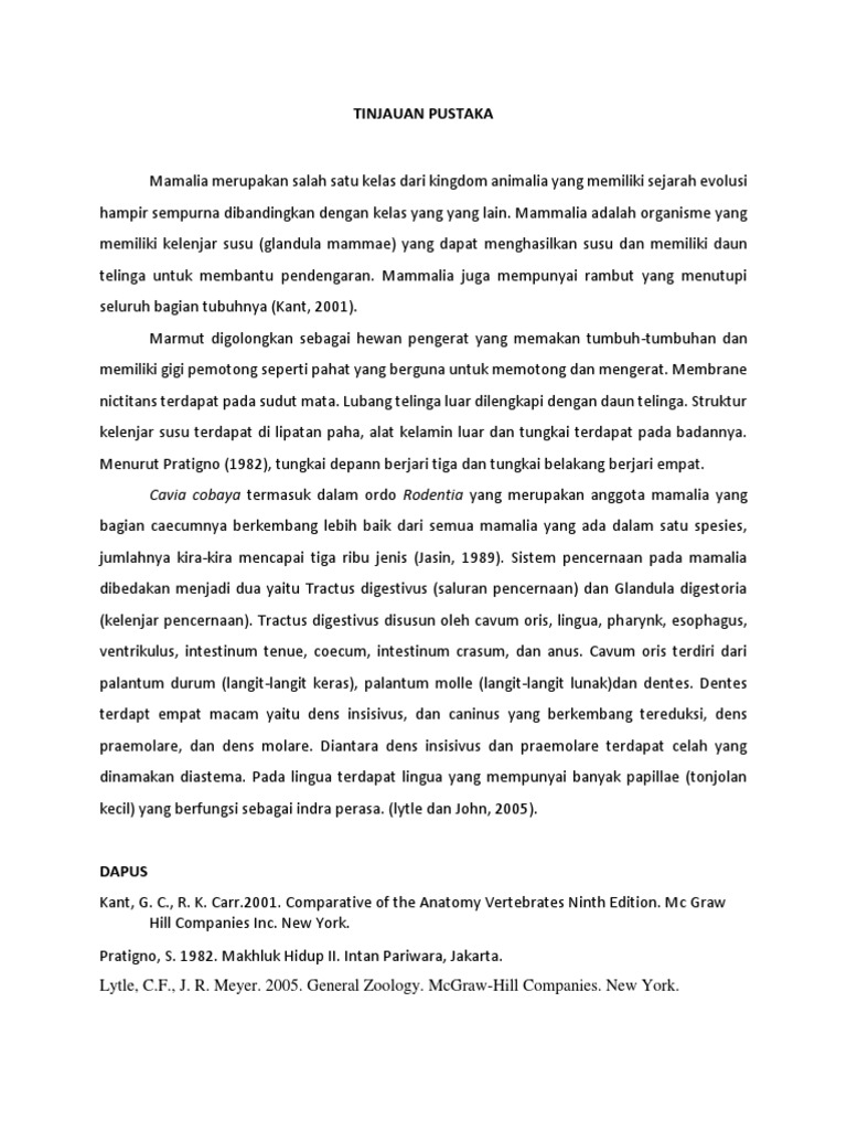 Tinjauan Pustaka Marmut | PDF