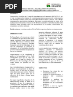 Metodología de Muestreo Macroinvertebrados y Red Surber | PDF ...
