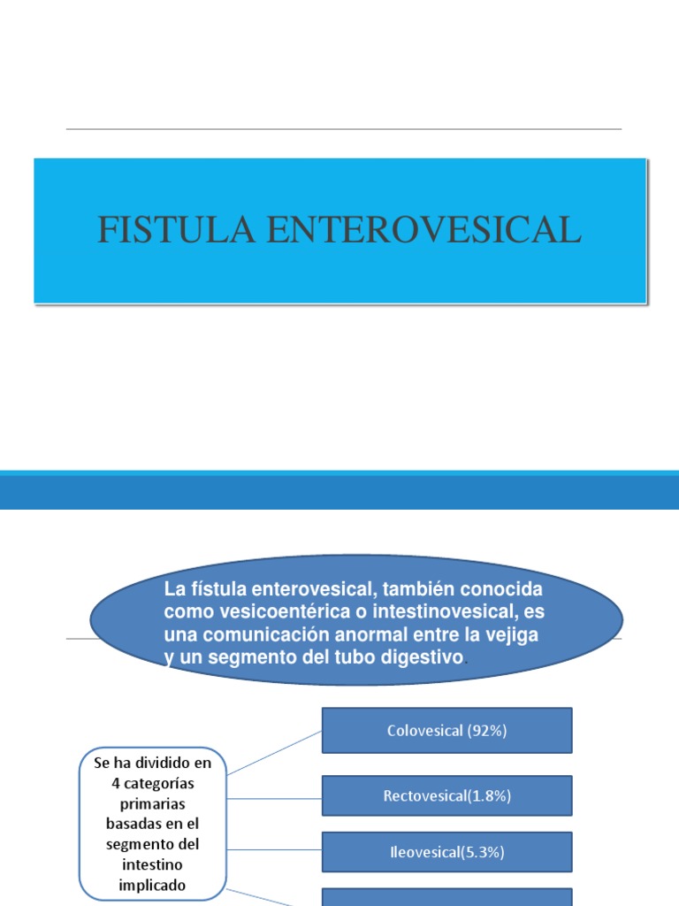 Fístula Enterovesical: Causas y Tratamiento | PDF | Cáncer colonrectal ...