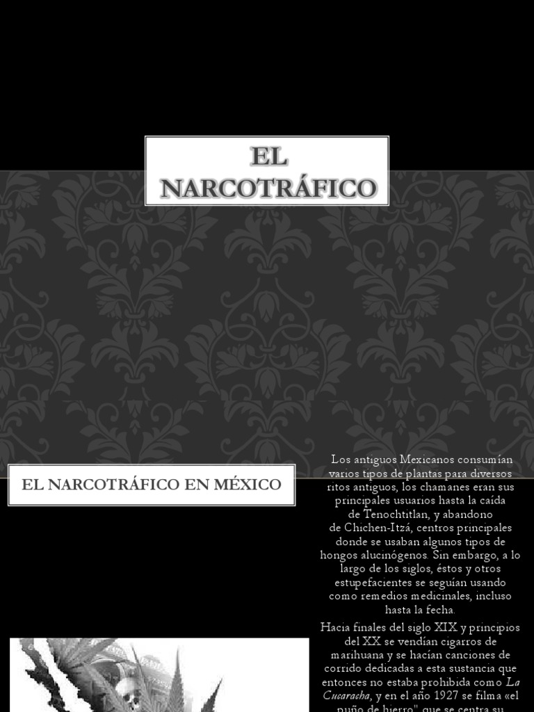 El Narcotrafico Pdf Cartel De Sinaloa Comercio Ilegal De Drogas