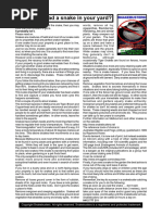 Snake Awareness Toolbox Talk | PDF | Snake