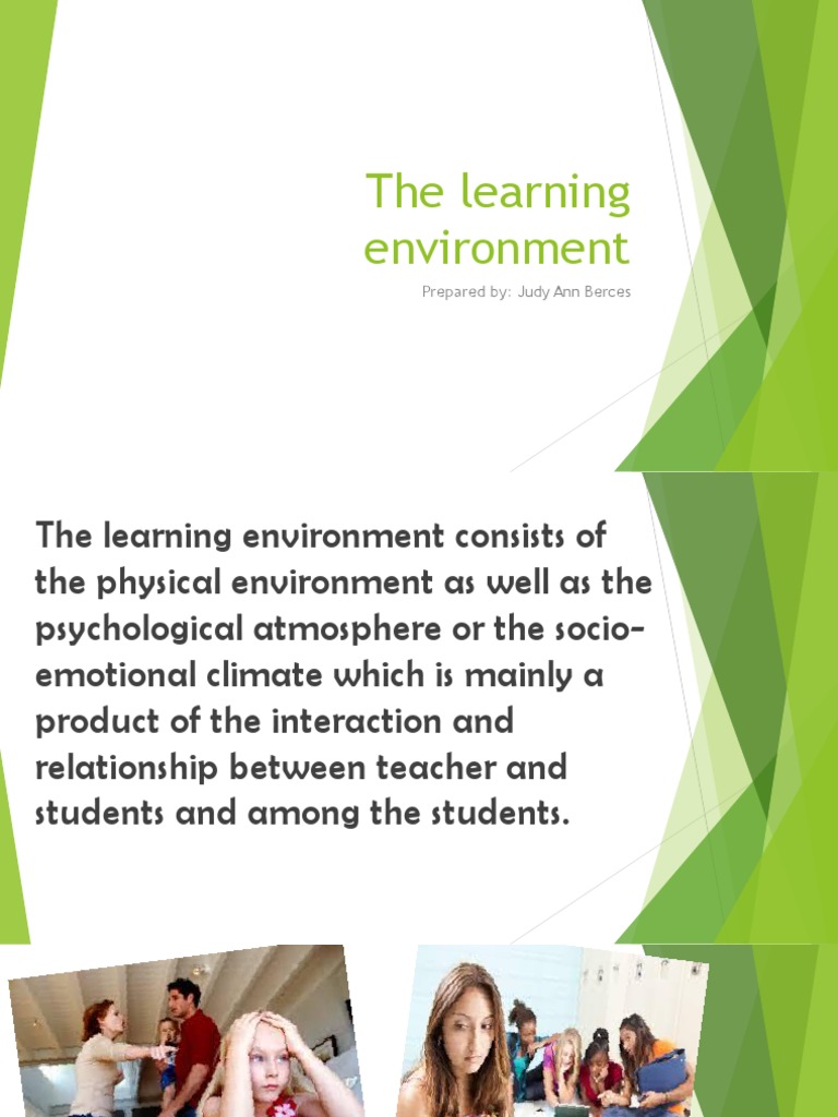 Understanding Facilitative Learning Environments | PDF | Career & Growth