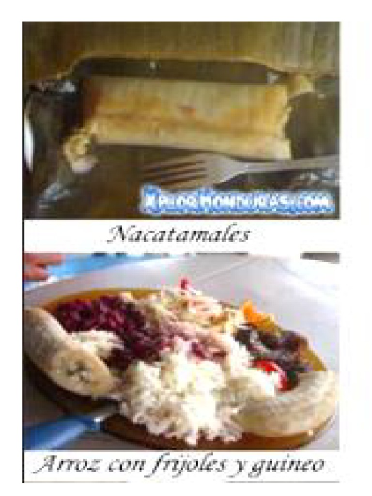 Comidas Tipicas de Mayas y Pech | PDF