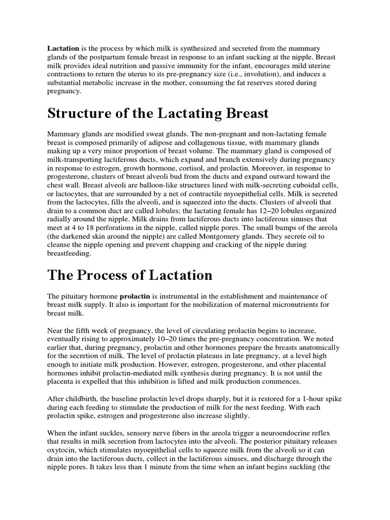 Structure of The Lactating Breast: Lactation Is The Process by Which ...