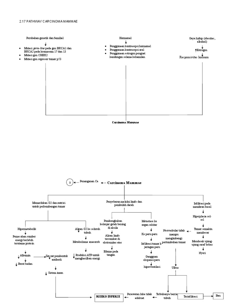 Pathway CA Mammae Fix | PDF