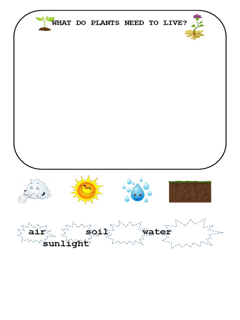 What Do Plants Need To Live | PDF