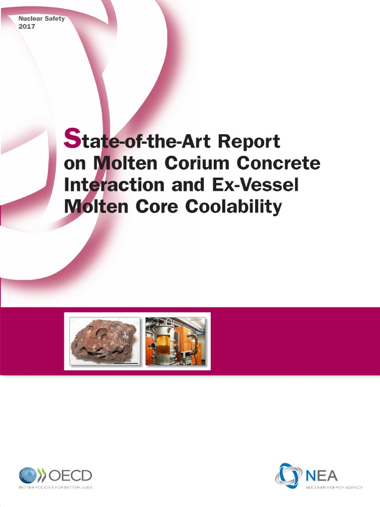 Corium Processing | PDF | Energy And Resource | Nature