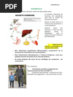 Cápsula de Glisson | PDF | Tejido adiposo | Riñón