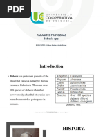 Zimmer Natural Nail System Tibial Nail Surgical Technique | PDF | Screw ...