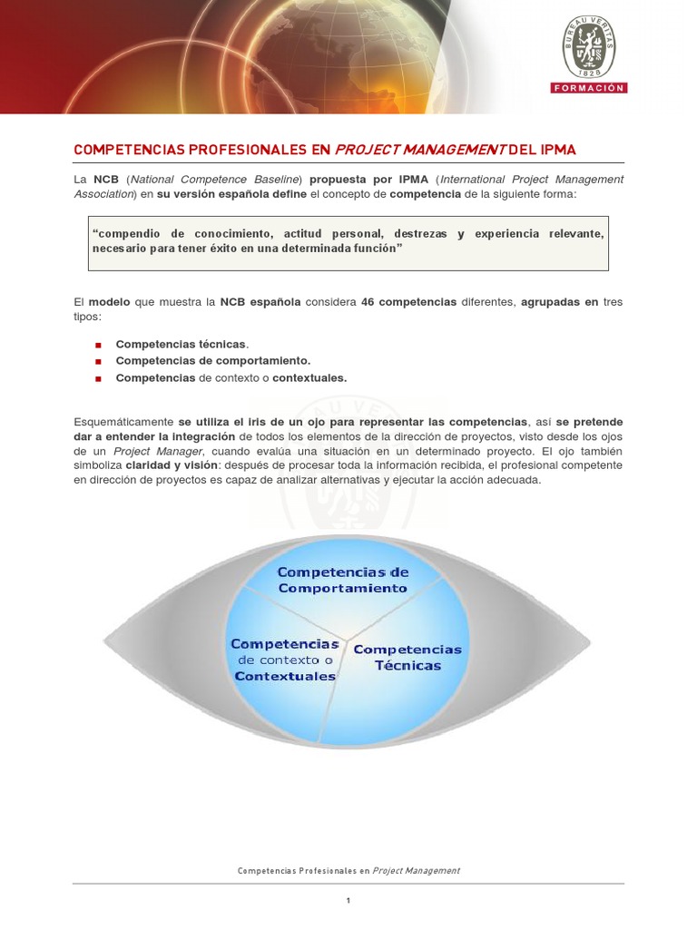 Competencias Profesionales Project Management IPMA | PDF | Gestión de ...