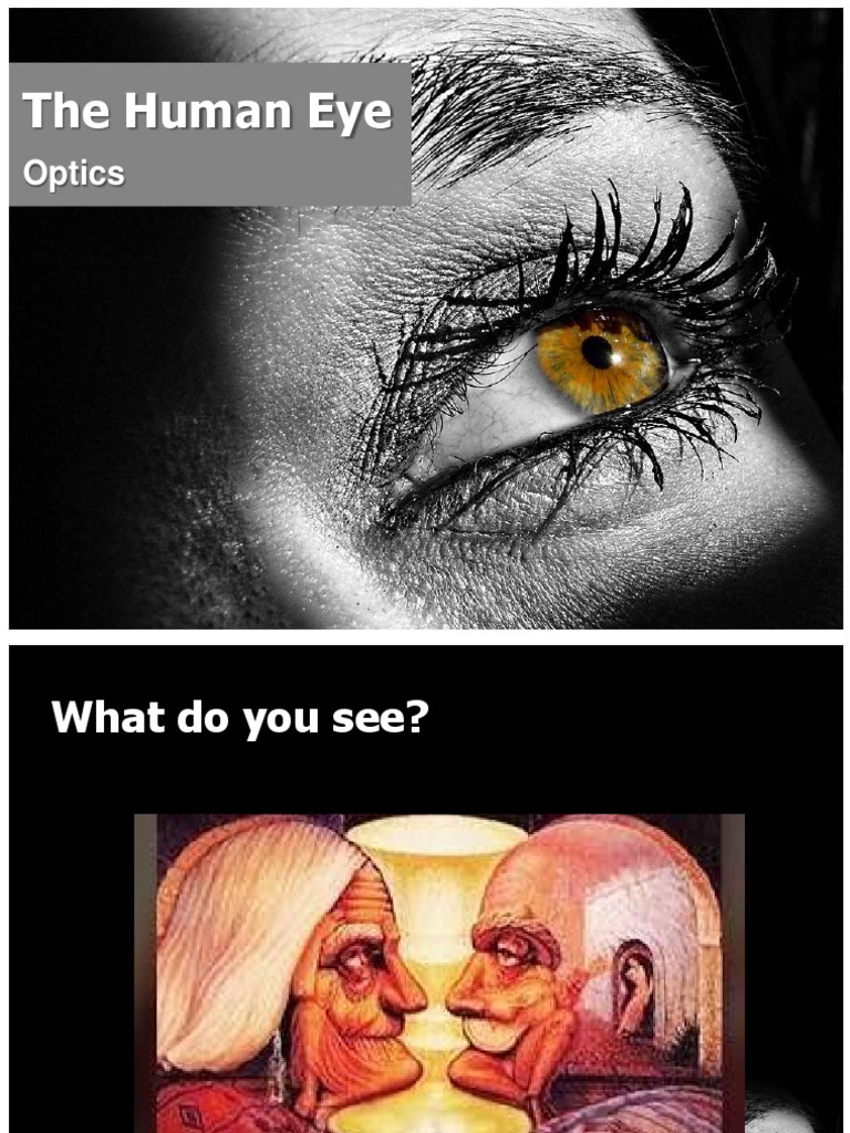 The Human Eye: Optics | PDF | Human Eye | Visual System