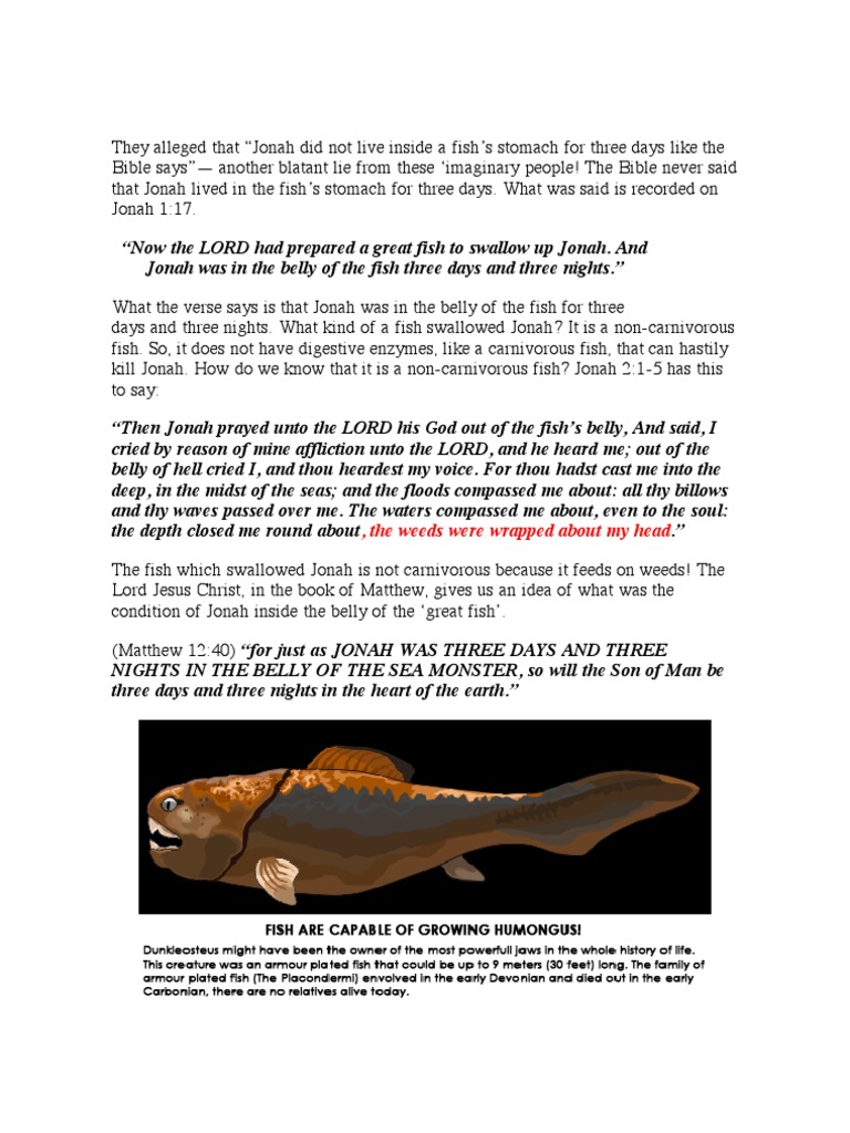 The Fish That Swallowed Jonah | Jonah | Digestion