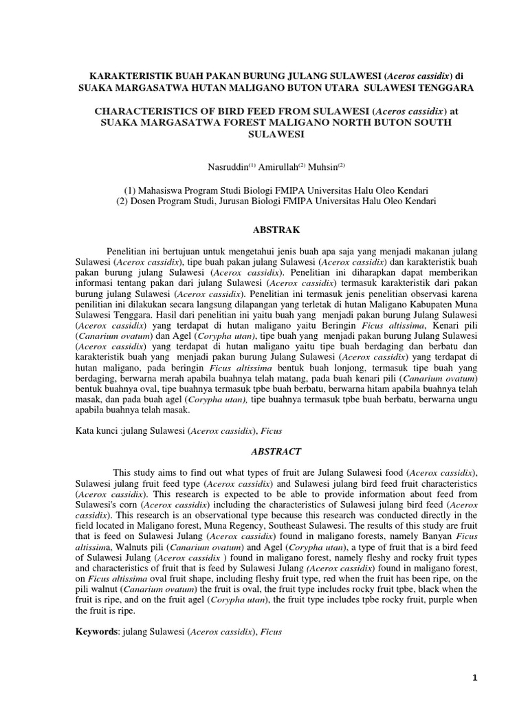 Jurnal Nasruddin | PDF