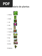 Bingo de Plantas Pictos | PDF