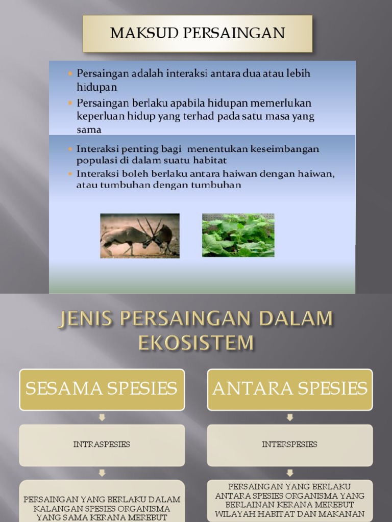 Nota Geo Penggal 3 | PDF