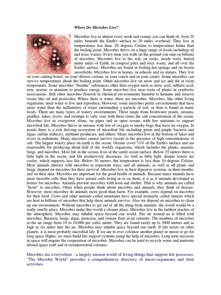 The Amazing Diversity of Microbial Habitats: A Comprehensive Look at ...