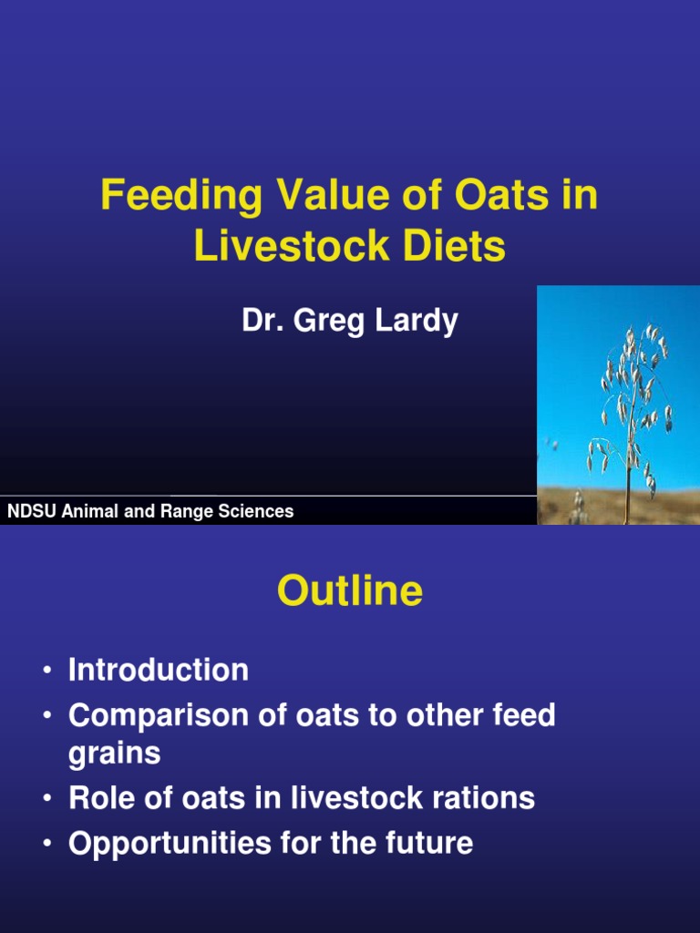 Feeding Value of Oats in Livestock Diets: Dr. Greg Lardy | PDF | Oat ...