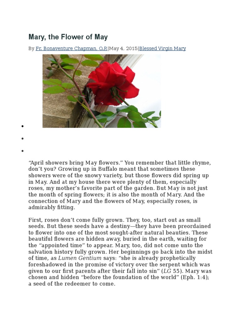 All About Mary | PDF | Religious Behaviour And Experience | Religion ...