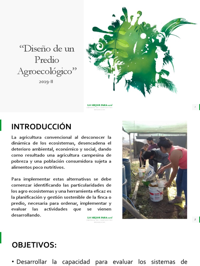 Diseño de Predio Agroecológico | PDF | café | Agricultura