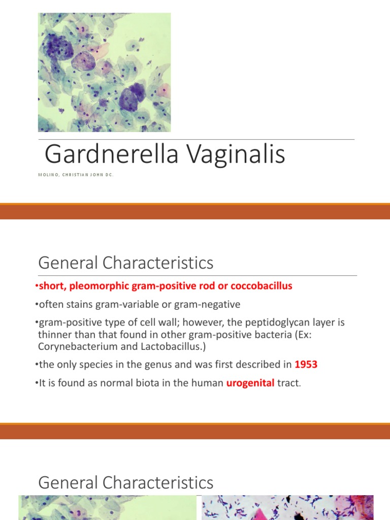 Gardnerella Vaginalis | Download Free PDF | Gram Positive Bacteria | Vagina