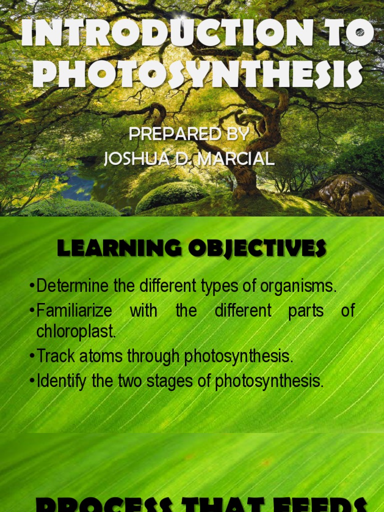 Introduction To Photosynthesis | PDF