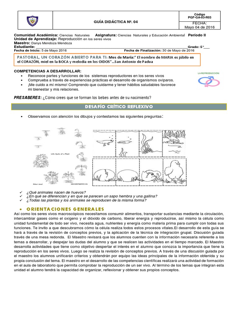 Guia No. 4 Reproducción en Los Seres Vivos.2016 | PDF | Reproducción ...