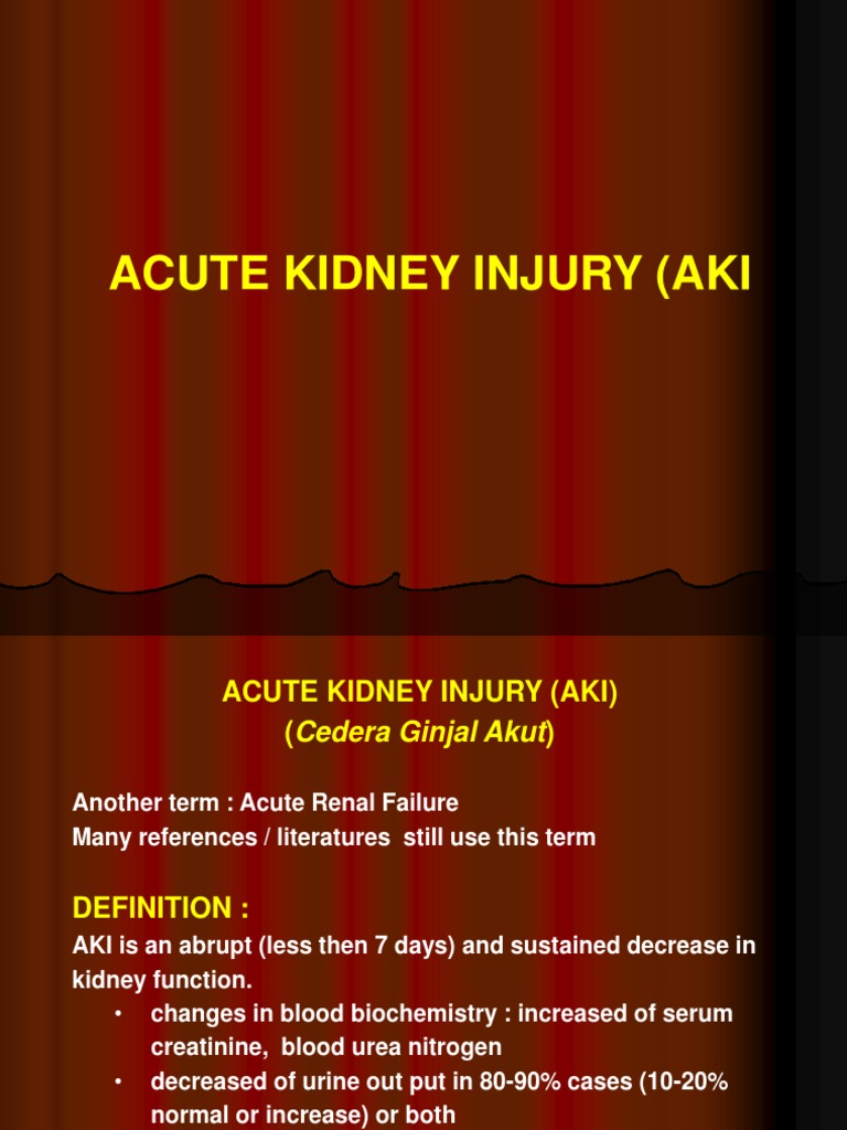 AKI | PDF | Renal Function | Internal Medicine