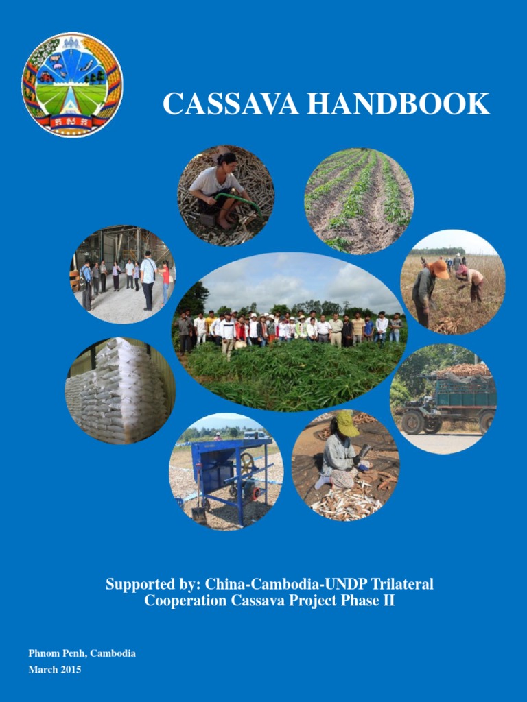 Cassava Handbook | PDF | Soil | Soil Fertility
