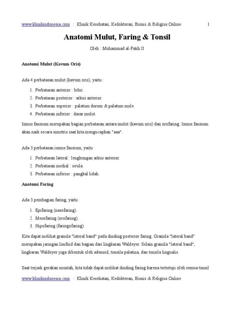 Anatomi Mulut Faring Tonsil | PDF