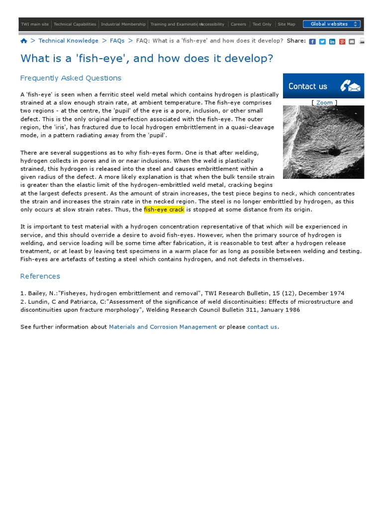 FAQ - What Is A 'Fish-Eye' and How Does It Develop - PDF | PDF ...