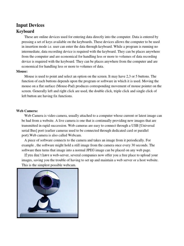 Input Devices: Keyboard | PDF | Compact Disc | Dvd