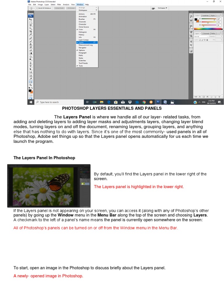 Photoshop Layers Panel Guide | PDF | Adobe Photoshop | Icon (Computing)