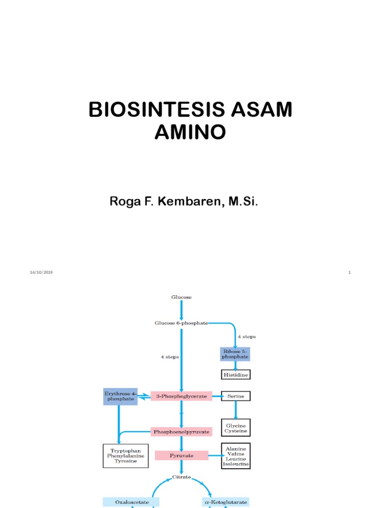 Week06-Biosintesis Dan Metabolsime Asam Amino | PDF