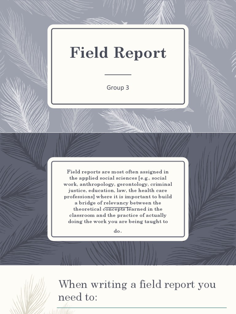 Field Report | PDF | Social Science | Paragraph