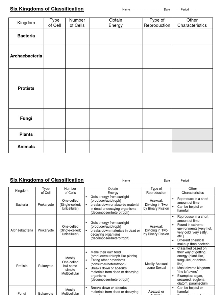 6 Kingdoms Graphic Organizer Schoolpointe 1fe43oh PDF | PDF | Organisms ...