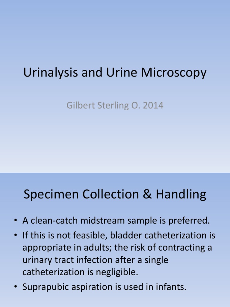 Urine Sediment Examination PDF | PDF | Urinary System | Medical Specialties