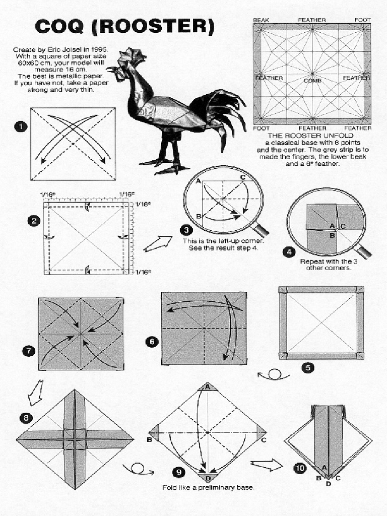 87.rooster (Eric Joisel) PDF | PDF