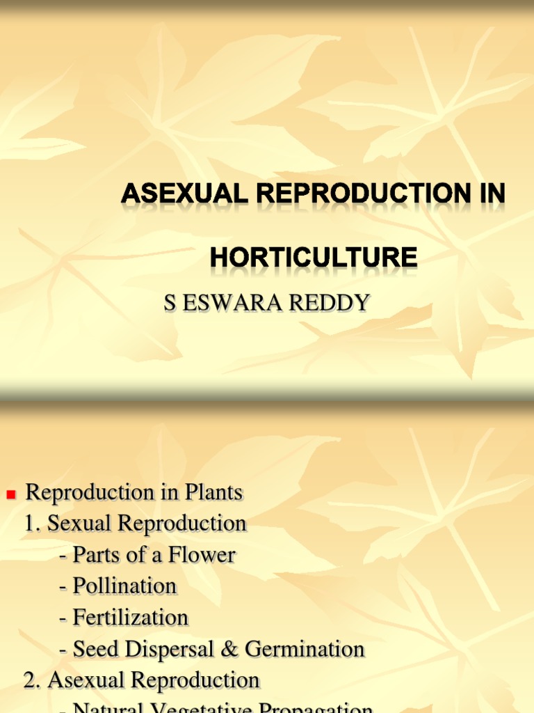 Asexual Reproduction in Plants SEREDDY | PDF | Sexual Reproduction ...